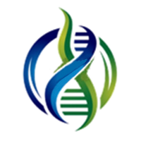 Dr. Jodi Rice, D.C. | Digital Business Card